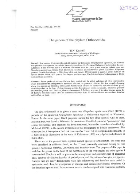 The genera of the phylum Orthonectida.