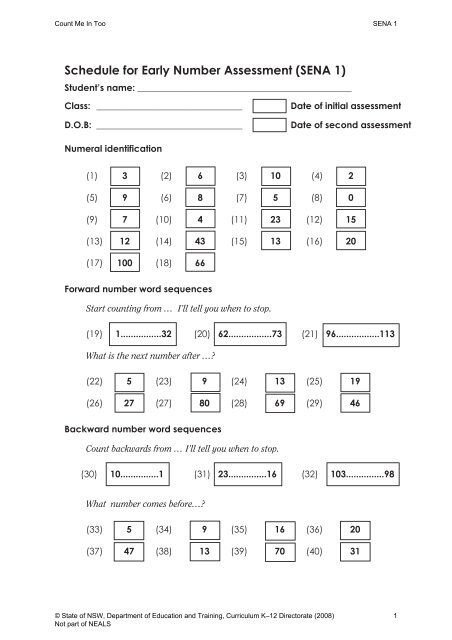 Schedule for Early Number Assessment (SENA 1)