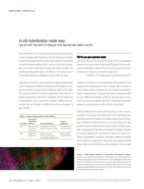 In situ hybridization made easy: FISH or CISH? Two ... - Invitrogen
