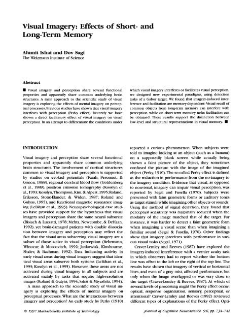 Visual Imagery: Effects of Short- and Long-Term Memory - MIT Press ...