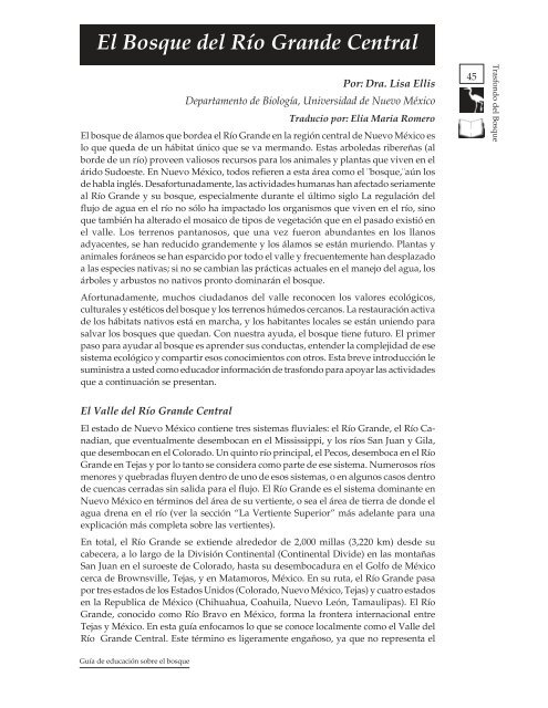 El Bosque del Río Grande Central - New Mexico Museum of Natural ...