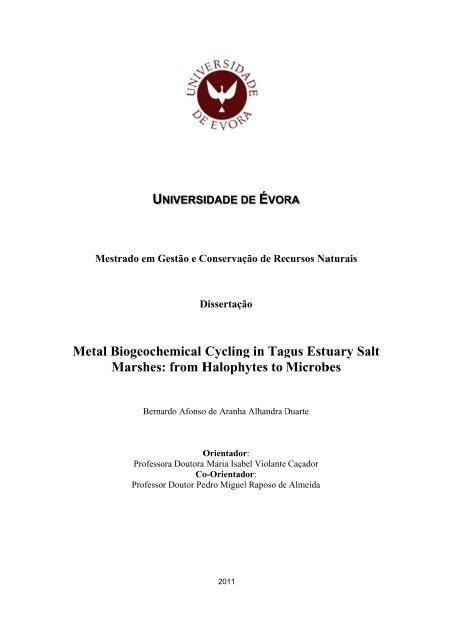 Universidade De Evora Logo Accommodation | Faculdade De Ciências Da