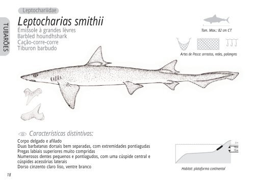 TUBARÕES 18 Leptochariid