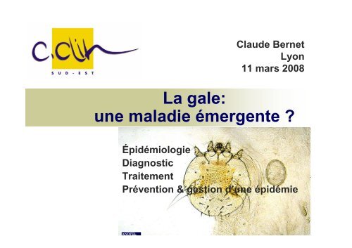 Gale Croûteuse Vs Gale Non Croûteuse