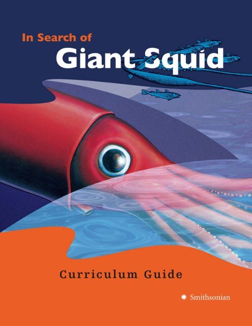 Colossal Squid Size Chart
