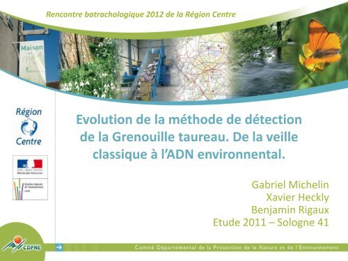 Gabriel Michelin, CDPNE