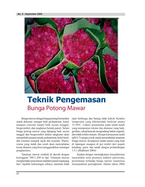 Teknik Pengemasan Bunga Potong Mawar - Hortikultura