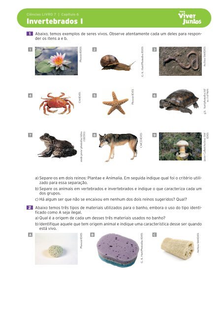 Exemplos De Animais Invertebrados
