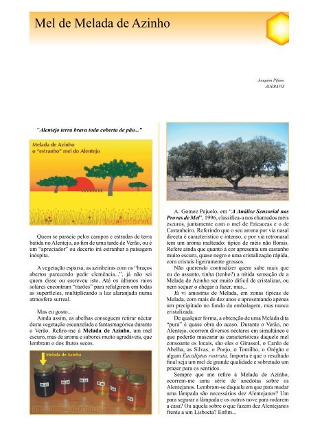 Mel de Melada de Azinho - O Apicultor