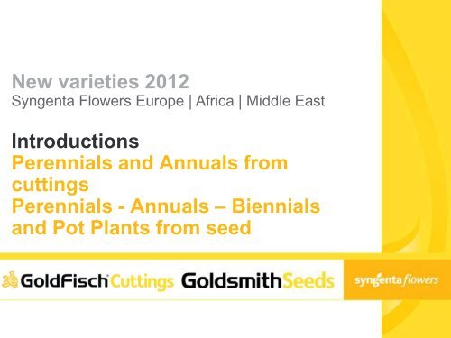 Syngenta Flowers Goldsmith Seeds | Best Flower Site