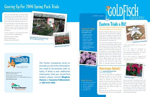 Syngenta Flowers Goldsmith Seeds | Best Flower Site