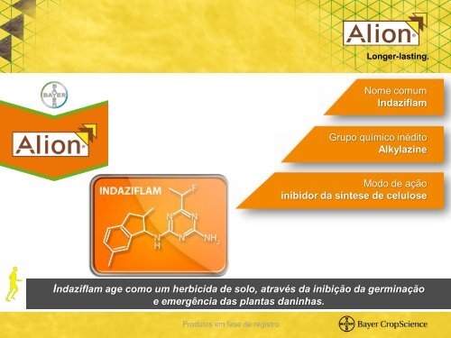 Produtos em fase de regis