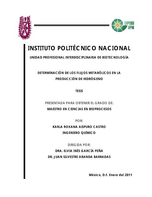 INSTITUTO POLITÉCNICO NACIONAL - Biotecnologia.upibi.ipn.mx ...