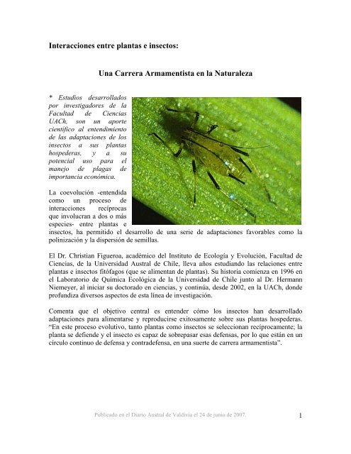 Tipos De Insectos En Las Plantas 13 Plagas Comunes En Plantas De