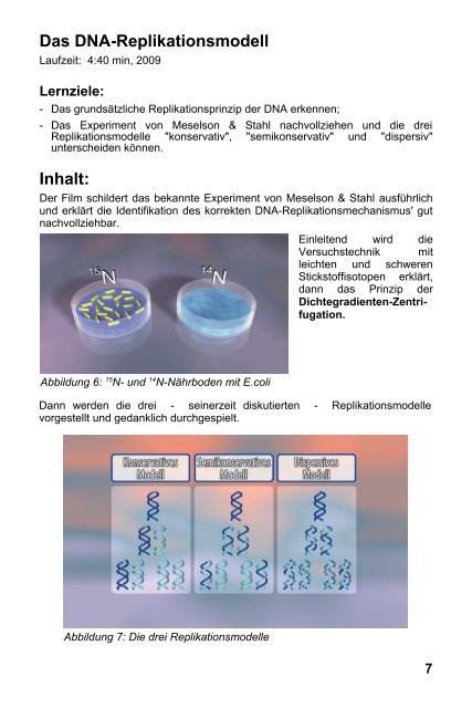 Abbildung 3: DNA-Modell,
