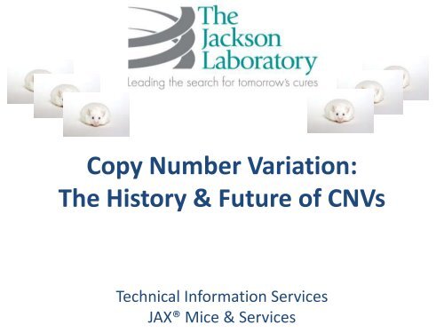 CNVs - JAX Mice and Services - The Jackson Laboratory