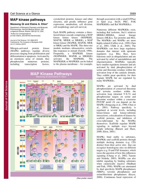 MAP Kinase Pathways - Journal of Cell Science - The Company of ...