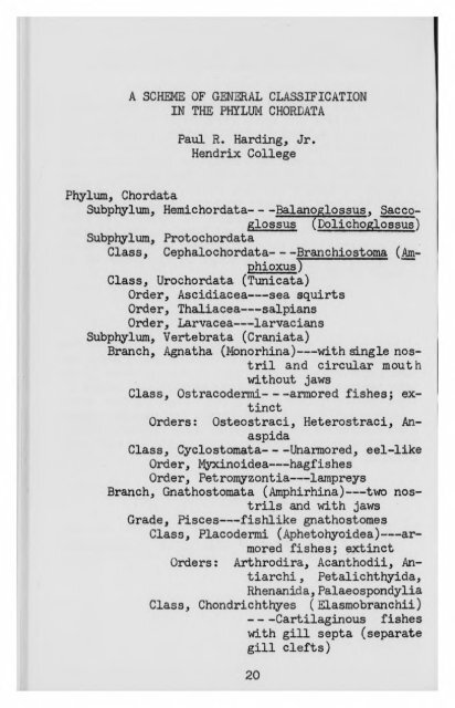 Classification Of Phylum Chordata With Characters Zoology