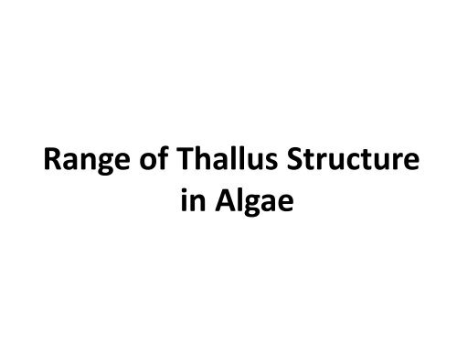 Range of Thallus Structure in Algae