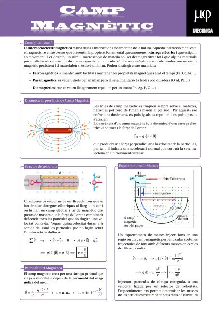Camp Magnètic, Selectors i Espectròmetres