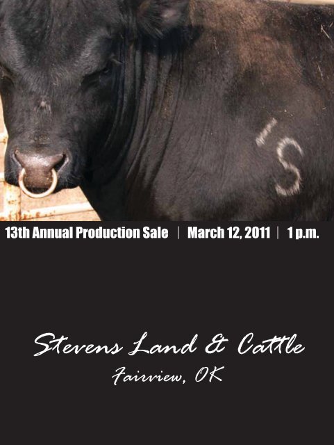 Stevens Land & Cattle - Angus Journal