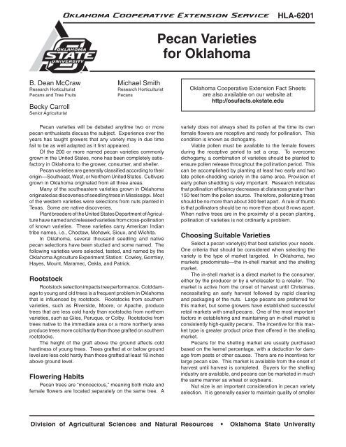 HLA-6201 Pecan Varieties for Oklahoma - OSU Fact Sheets ...