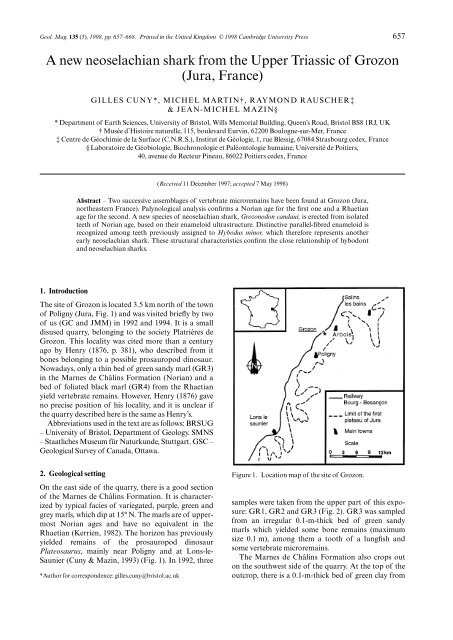 A new neoselachian shark from the Upper Triassic of Grozon (Jura ...