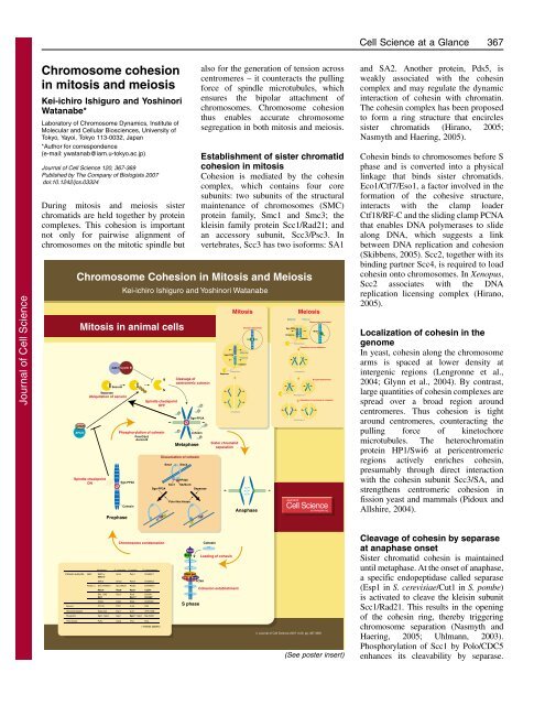 Chromosome cohesion in mitosis and meiosis - Journal of Cell ...