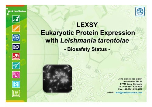 LEXSY Biosafety Status PDF - Jena Bioscience