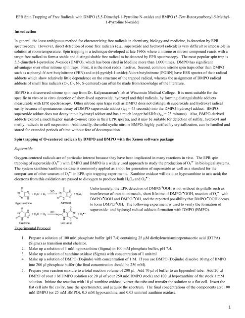 EPR Spin Trapping of Free Radicals with DMPO (5,5-Dimethyl-1 ...