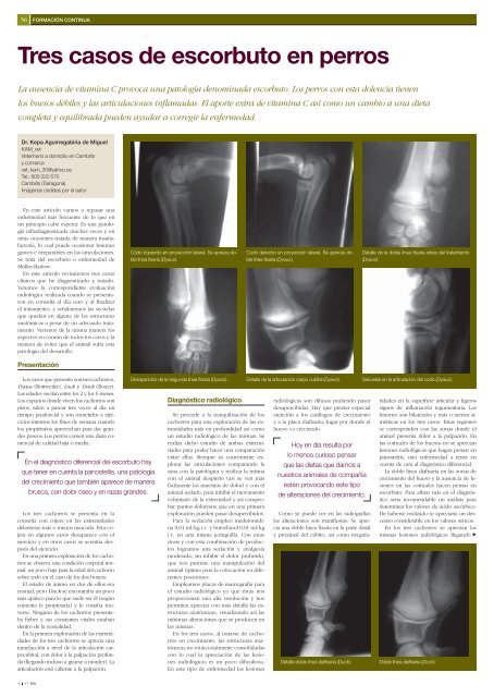 Tres casos de escorbuto en perros