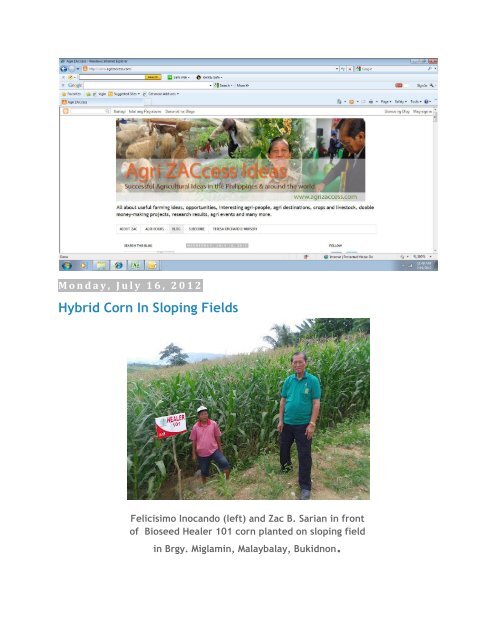 Hybrid Corn In Sloping Fields - Bioseed