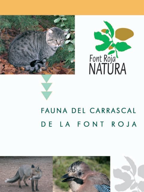 Fauna del Carrascal de la Font Roja - Grup Ecologista Xoriguer