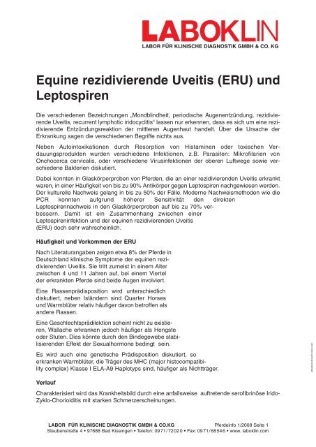 Equine rezidivierende Uveitis (ERU) und Leptospiren - Laboklin