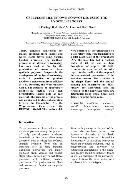 cellulose meltblown nonwovens using the lyocell-process - Lenzing