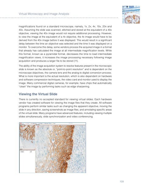 08 Immunoh stochem cal St