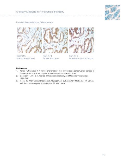 8 Immunoh stochem cal Sta