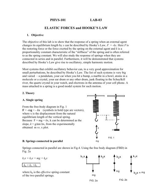 ELASTIC FORCES and HOOKE'S LAW