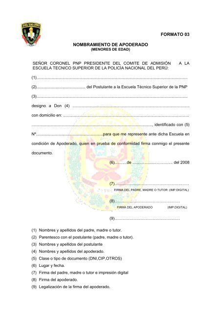 Total 77 Imagen Modelo De Solicitud Para Nombramiento De Tutor