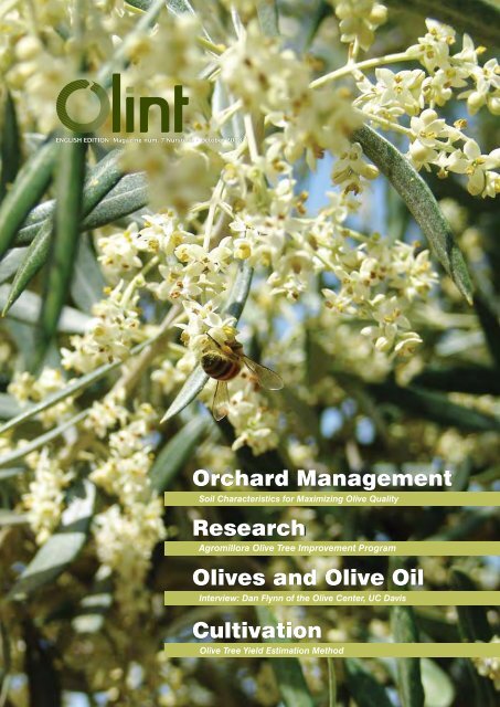 Olive Tree Yield Estimation Method Olint