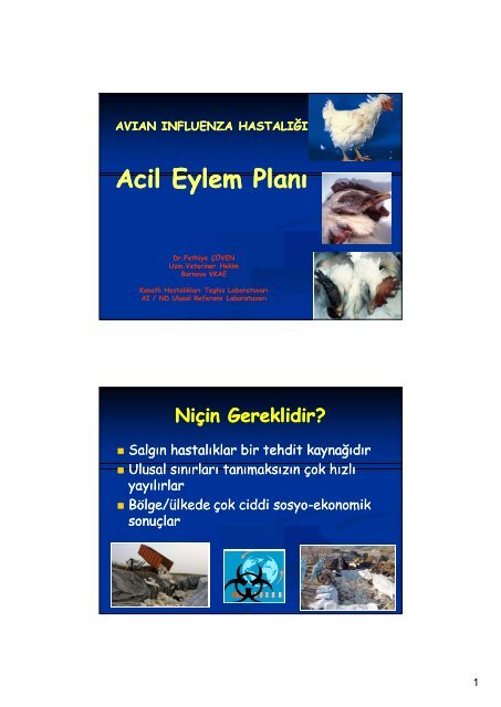 Avian Influenza Acil Eylem Planı - Bornova Veteriner Kontrol Enstitüsü