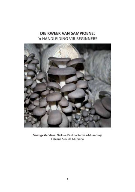 DIE KWEEK VAN SAMPIOENE: 'n HANDLEIDING VIR BEGINNERS