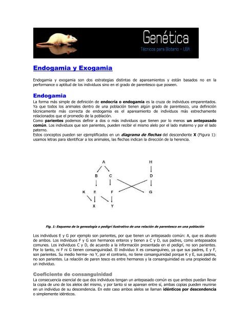 Endogamia y Exogamia - Genética - Técnicos para Bioterio