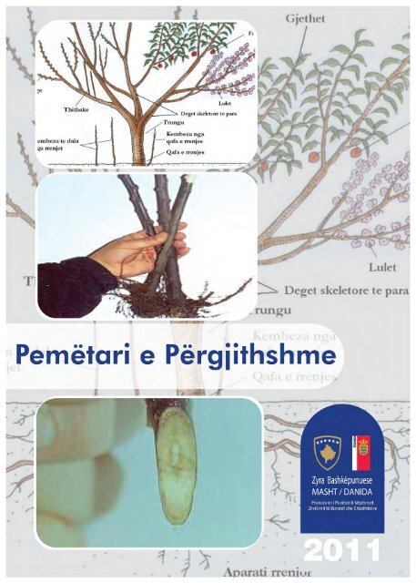 Pemetari e Pergjithshme