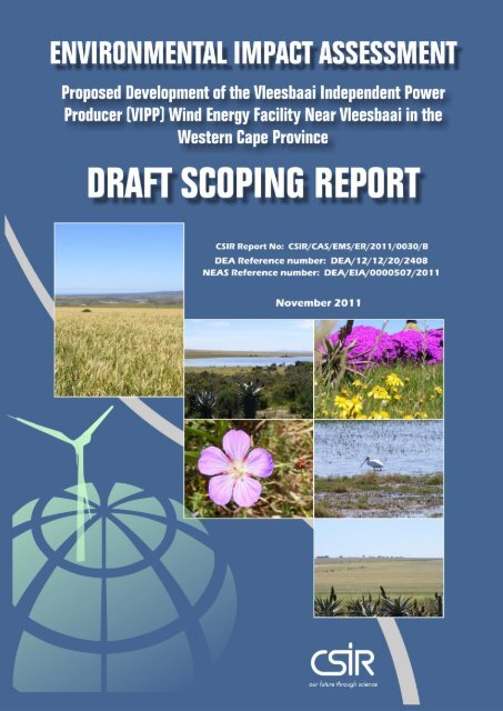 Draft Scoping Report - CSIR