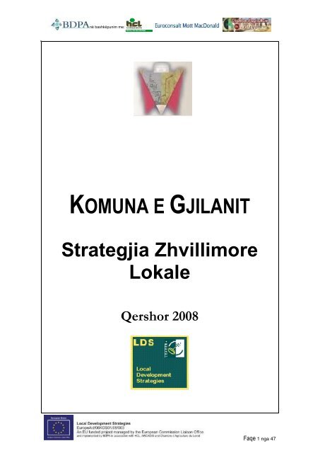 Universiteti I Gjilanit Logo
