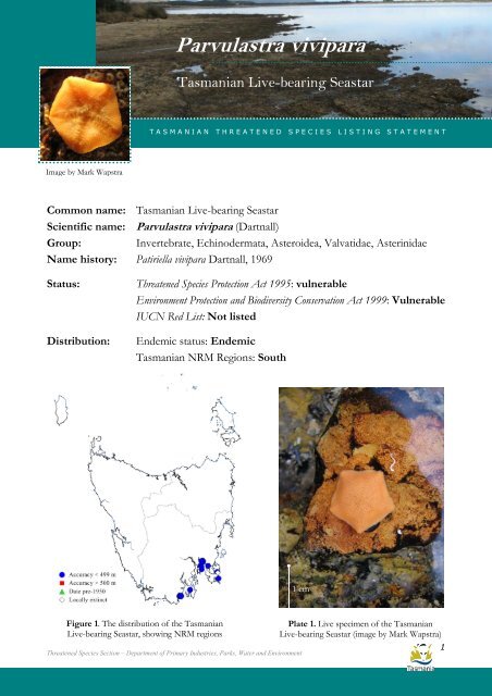 Parvulastra vivipara - Department of Primary Industries, Water and ...