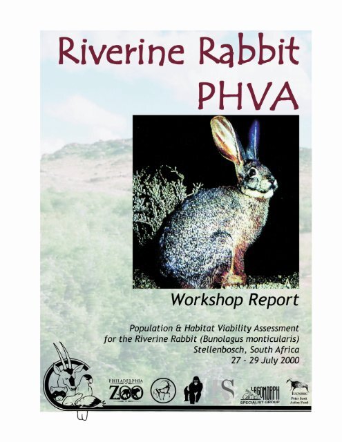 RIVERINE RABBIT (Bunolagus monticularis) - Wildpro