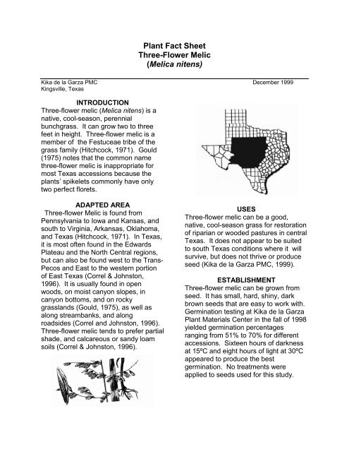 Plant Fact Sheet Three-Flower Melic - Plant Materials Program - US ...