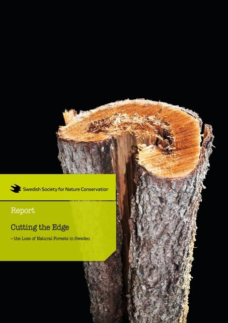 Report Cutting the Edge - Robin Wood